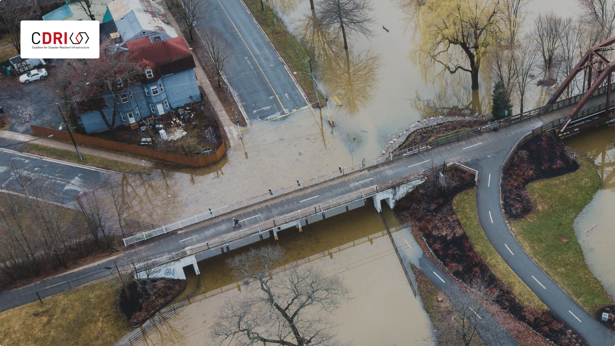 CDRI - Ensuring Global Infrastructure Resilience